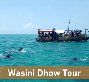 Wasini Dhow Tour – Safe Adventures Safaris